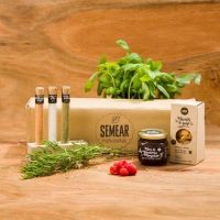 Compra Solidária - Escolhas com Impacto Social - Presentes Solidários e ...